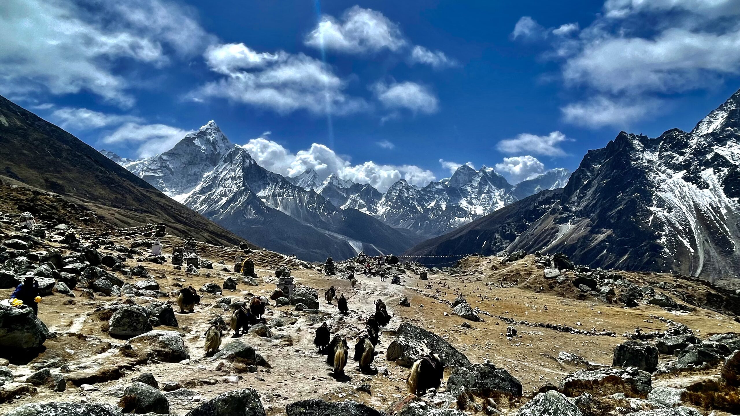 Everest view trek- Explore the Beauty of Everest